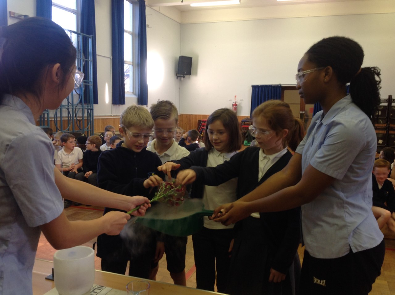 Science – Stoke Bishop Church Of England Primary School